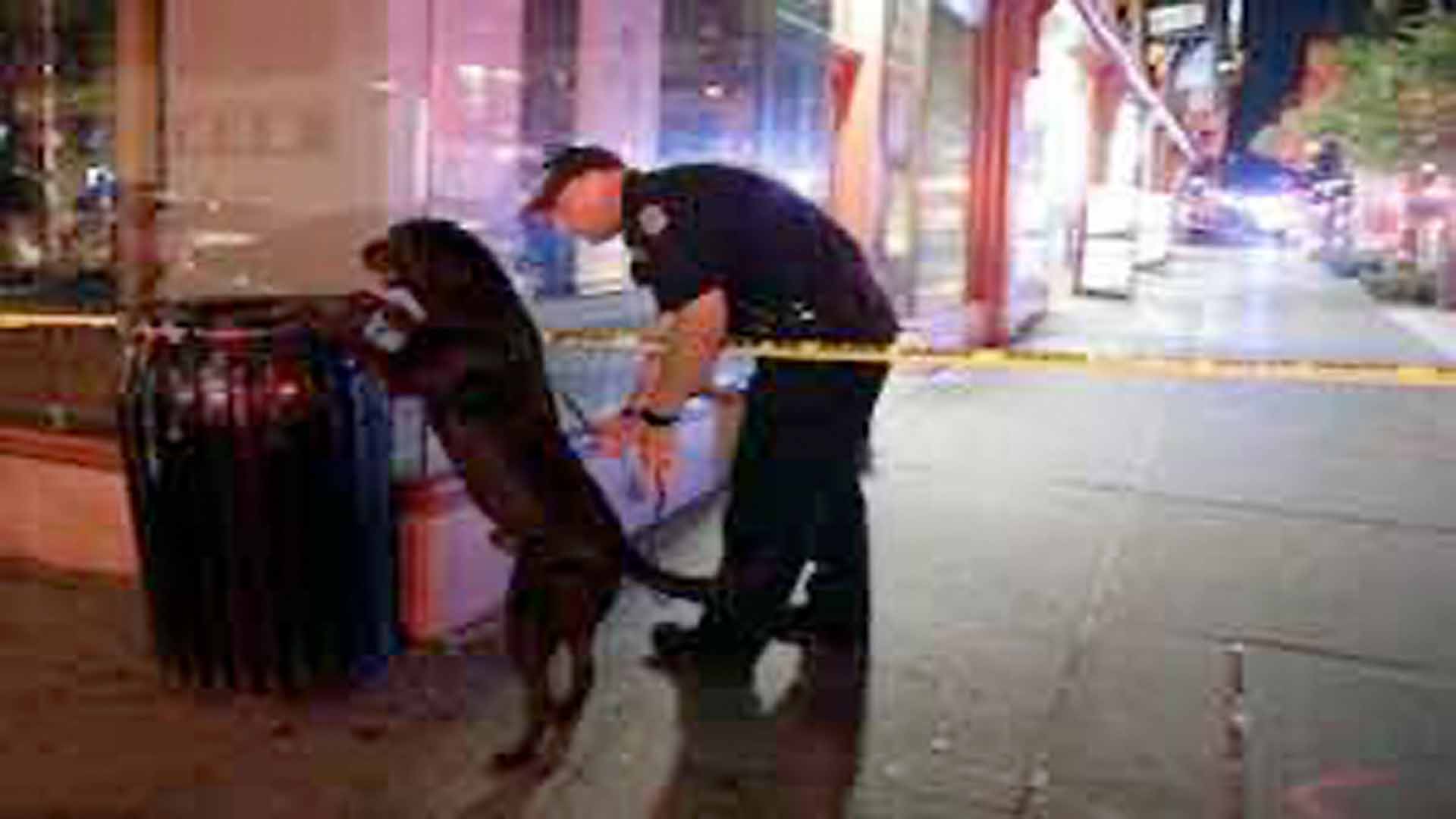 Source: NY and NJ Bomb signatures “nearly identical” - Hagmann P.I.