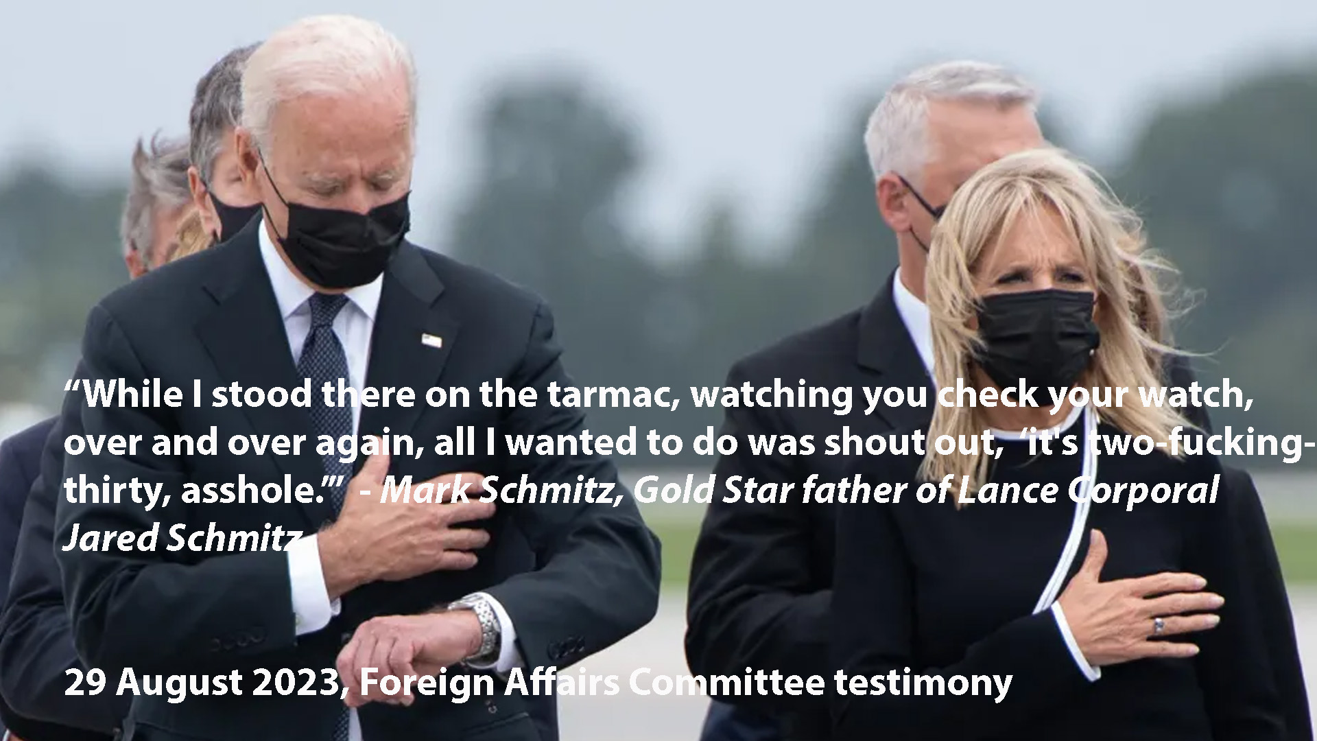 MUST SEE: Impassioned Words for Biden, Blinken, Austin and Military Leadership from a Gold Star ...
